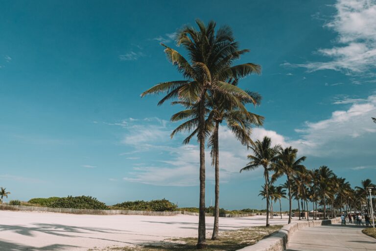 Fly Wichita to Miami: Uncover the Magic City's Charm!